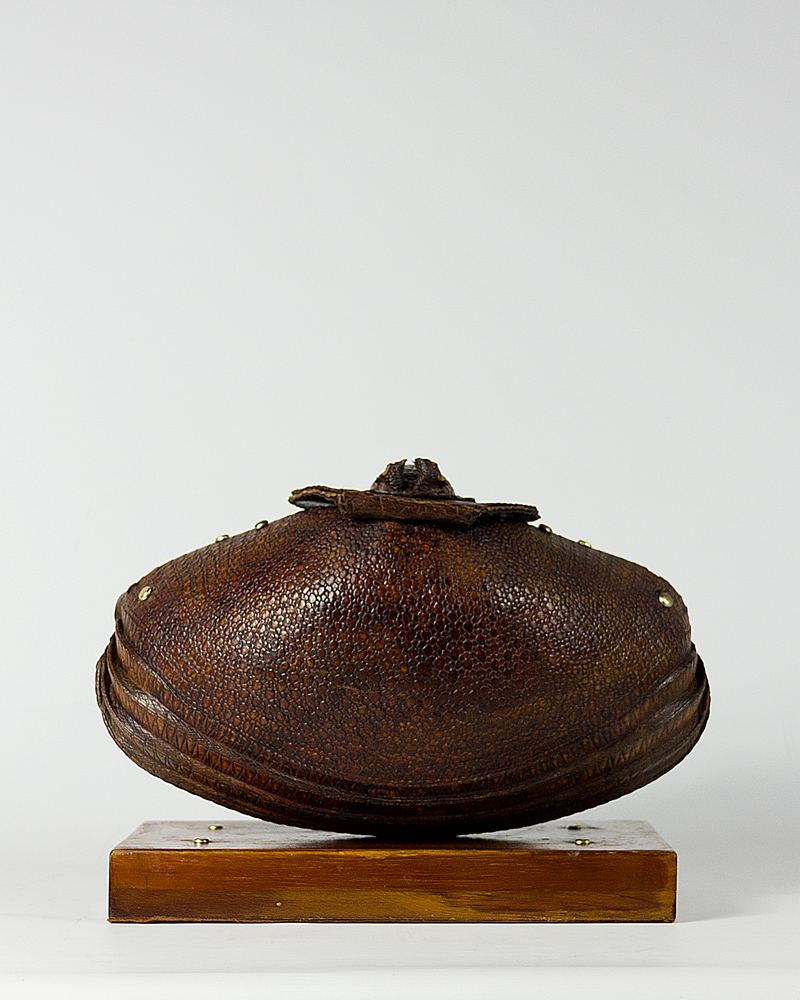 Taxidermy Armadillo Box