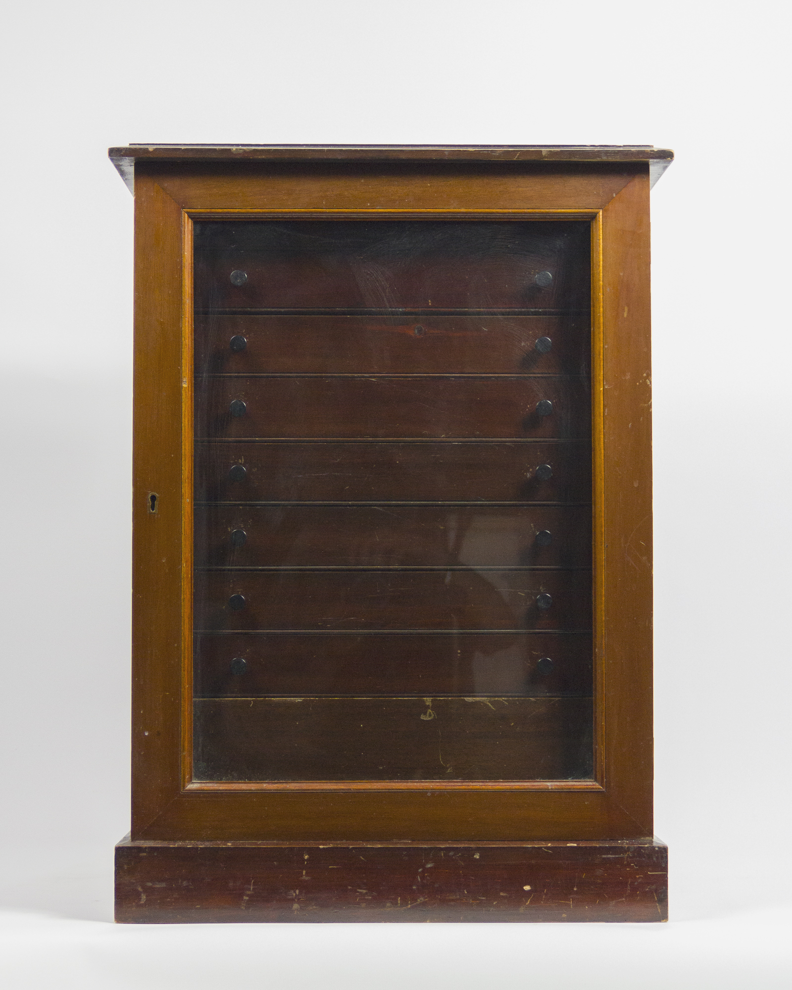 Taxidermy Entomology Cabinet