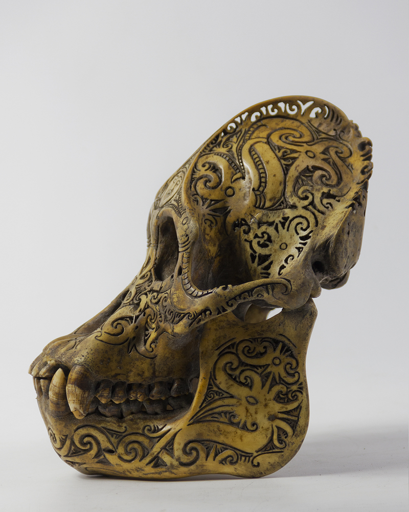 Carved Orangutan Skull