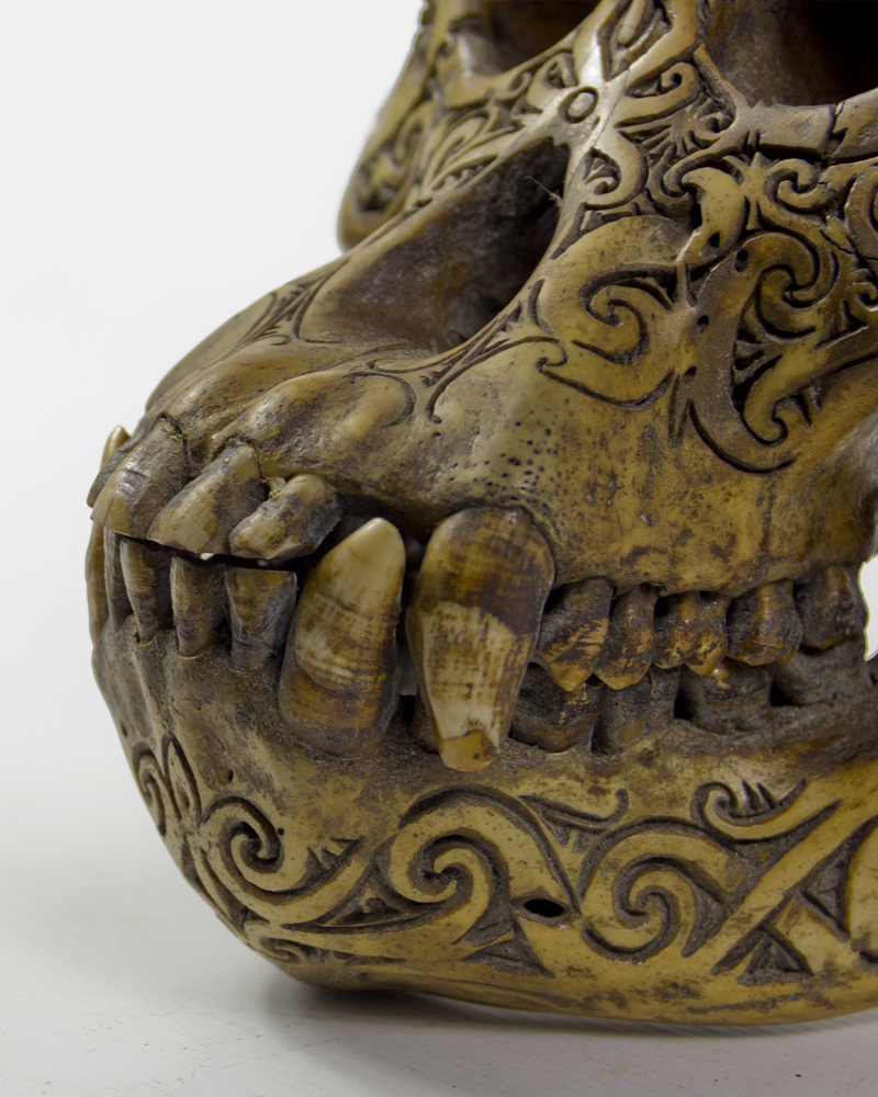 Carved Orangutan Skull