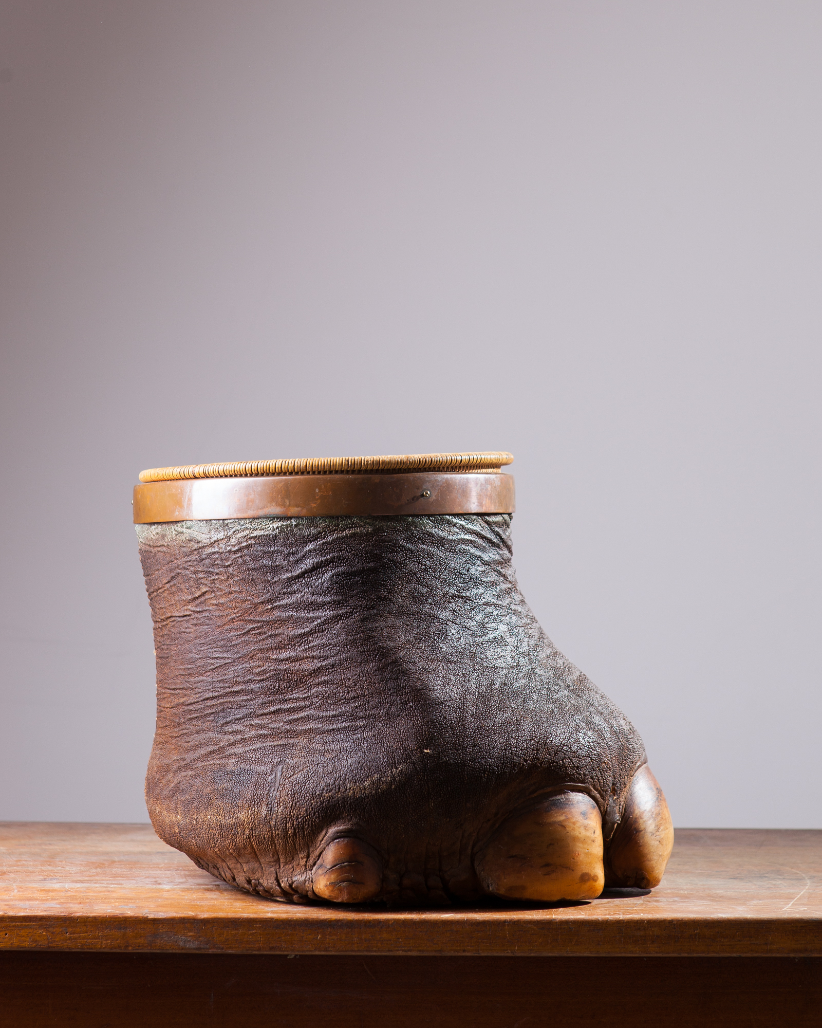Taxidermy Elephant Foot, Circa 1920