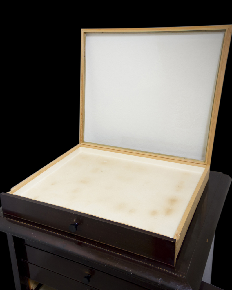 Taxidermy Entomology Cabinet