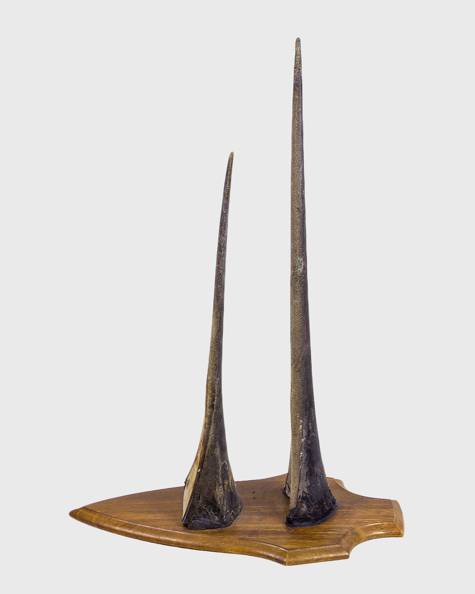 Taxidermy A pair of Marlin beaks