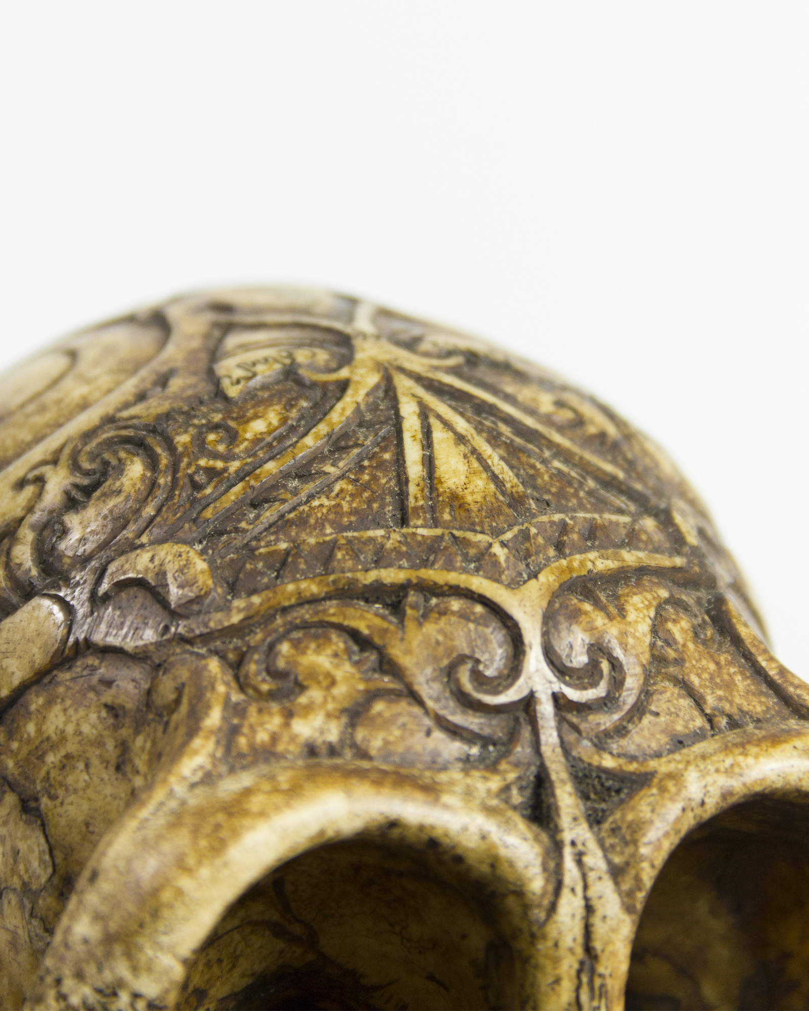 Taxidermy Orangutan Skull