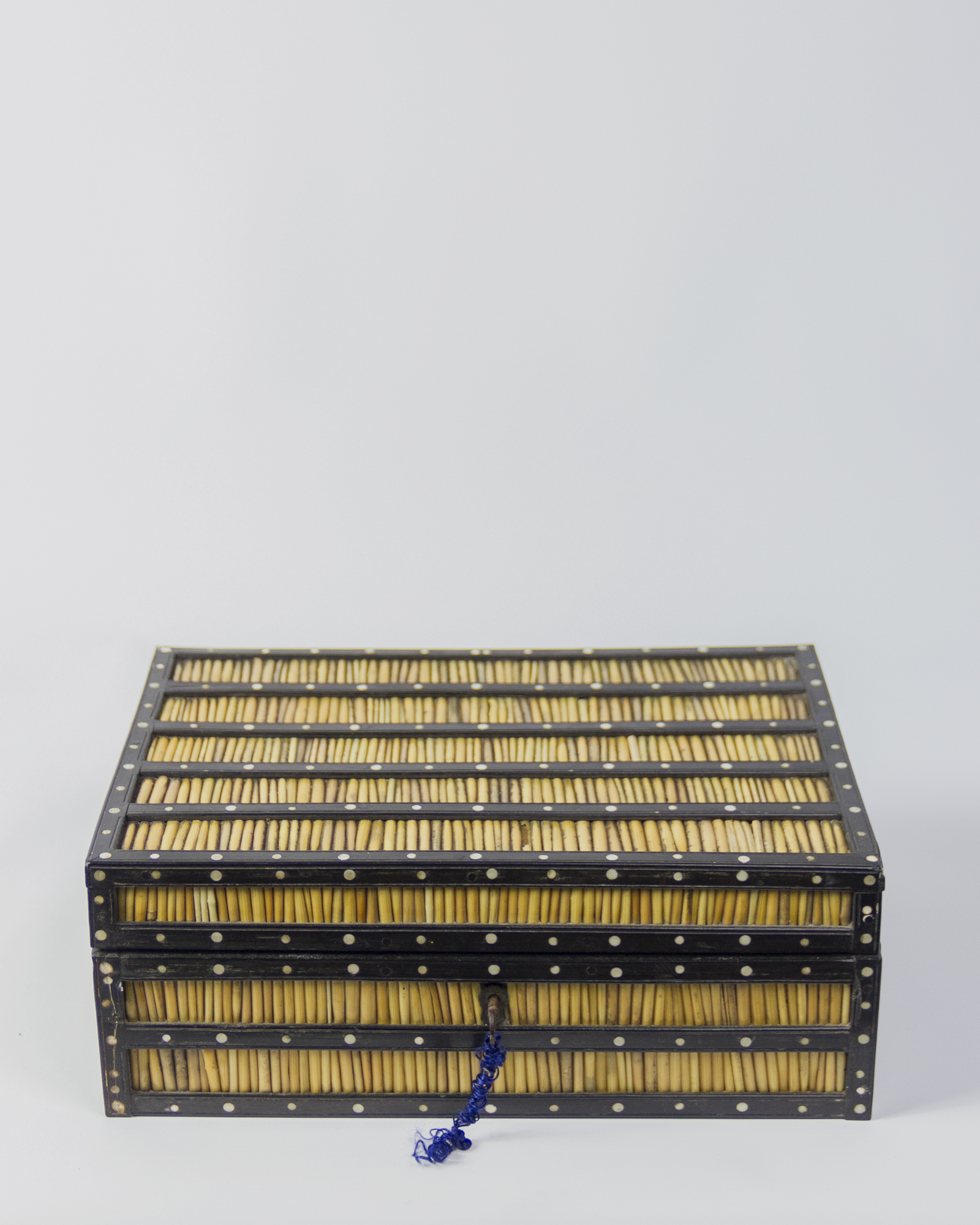 Taxidermy Porcupine Quill Box