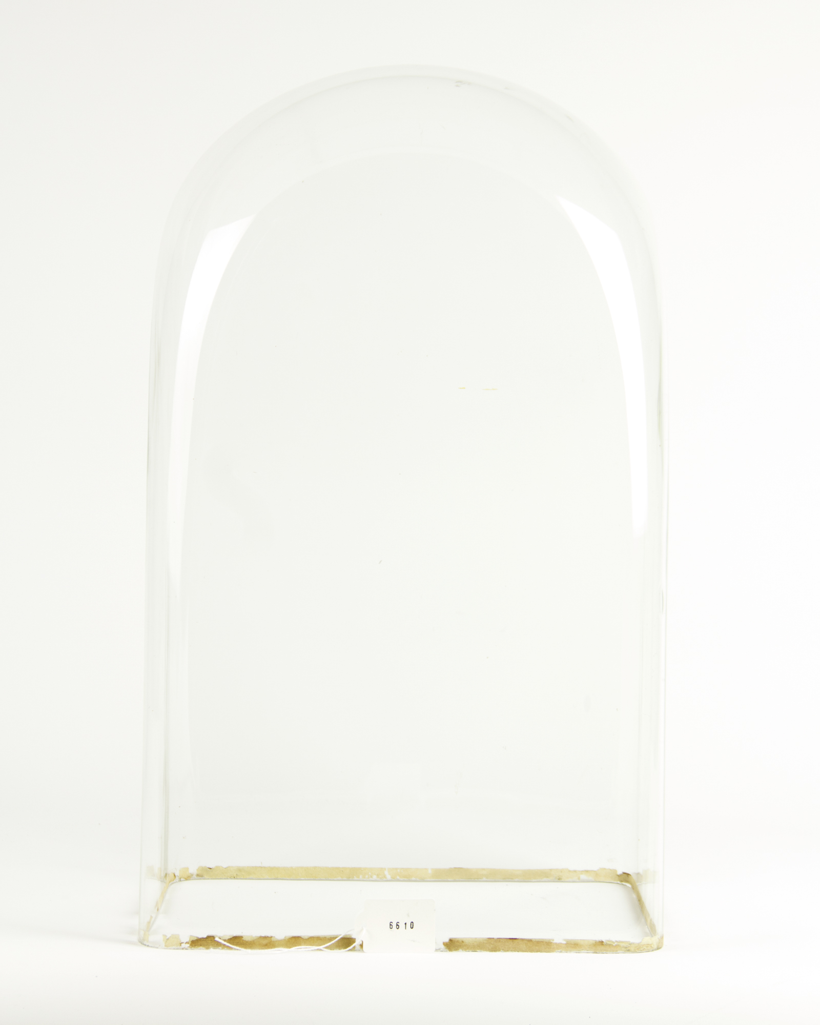 Taxidermy Square Glass Dome