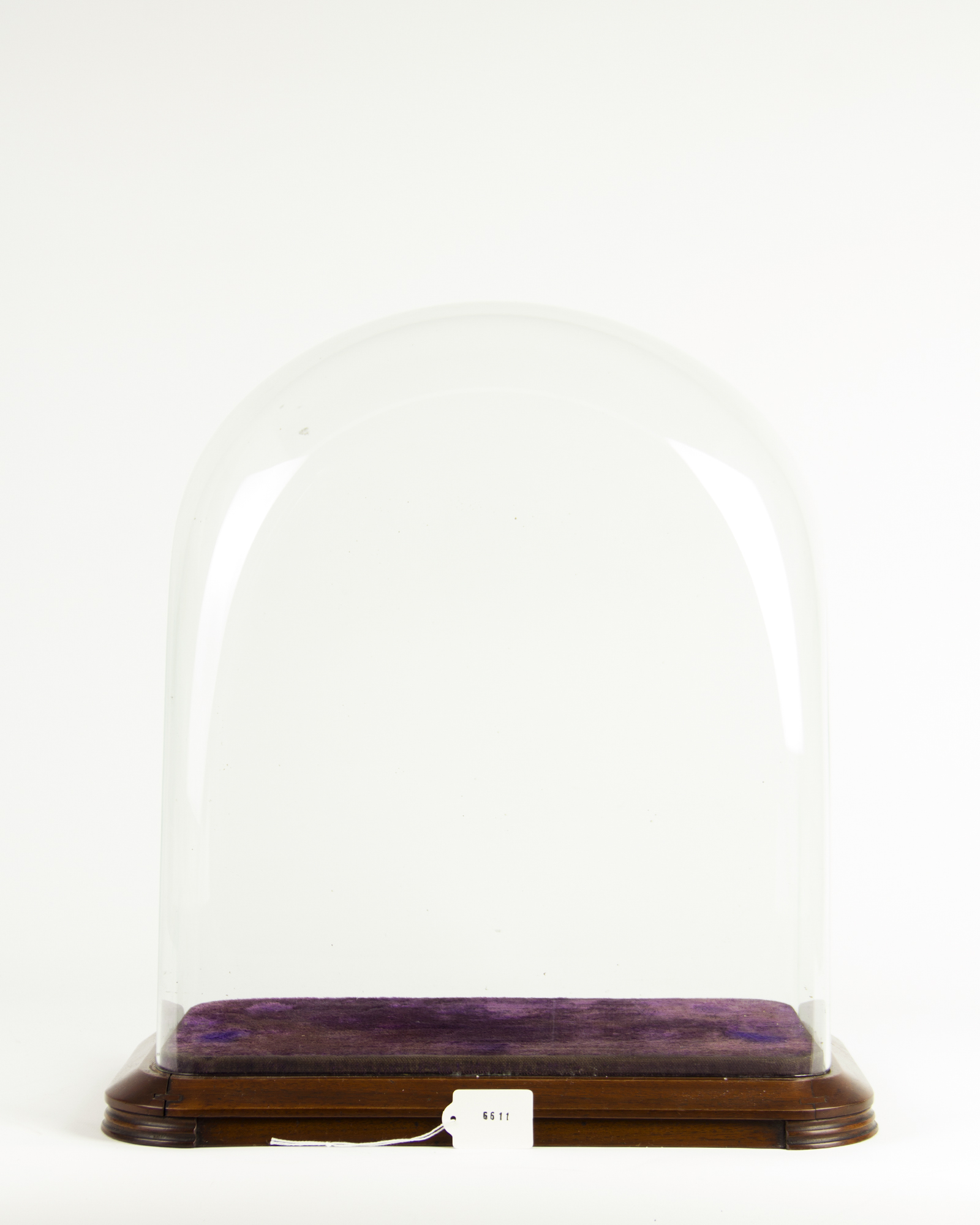 Taxidermy Square Glass Dome