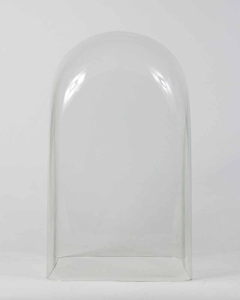 Taxidermy Square Sided Glass Dome