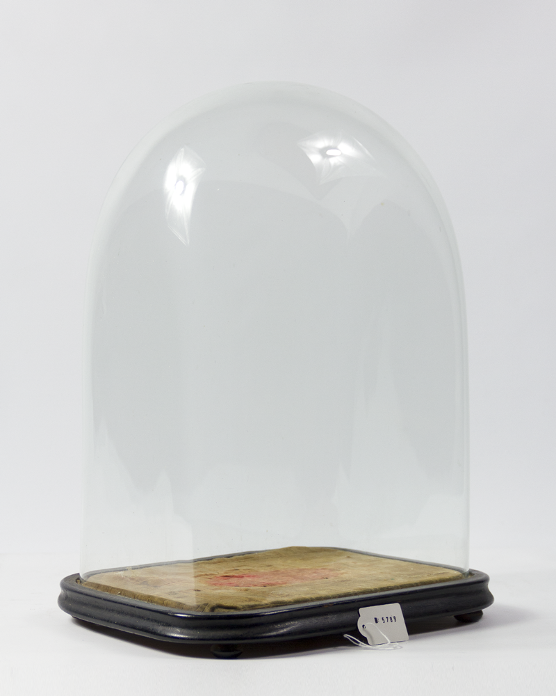 Square Glass Dome