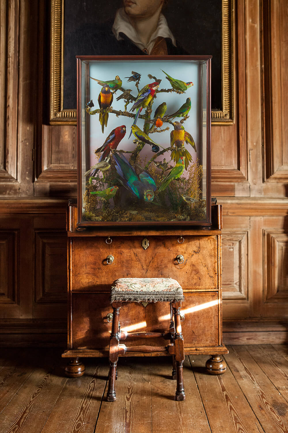 Taxidermy And Natural History Collection Taxidermy : Ayre & Co.