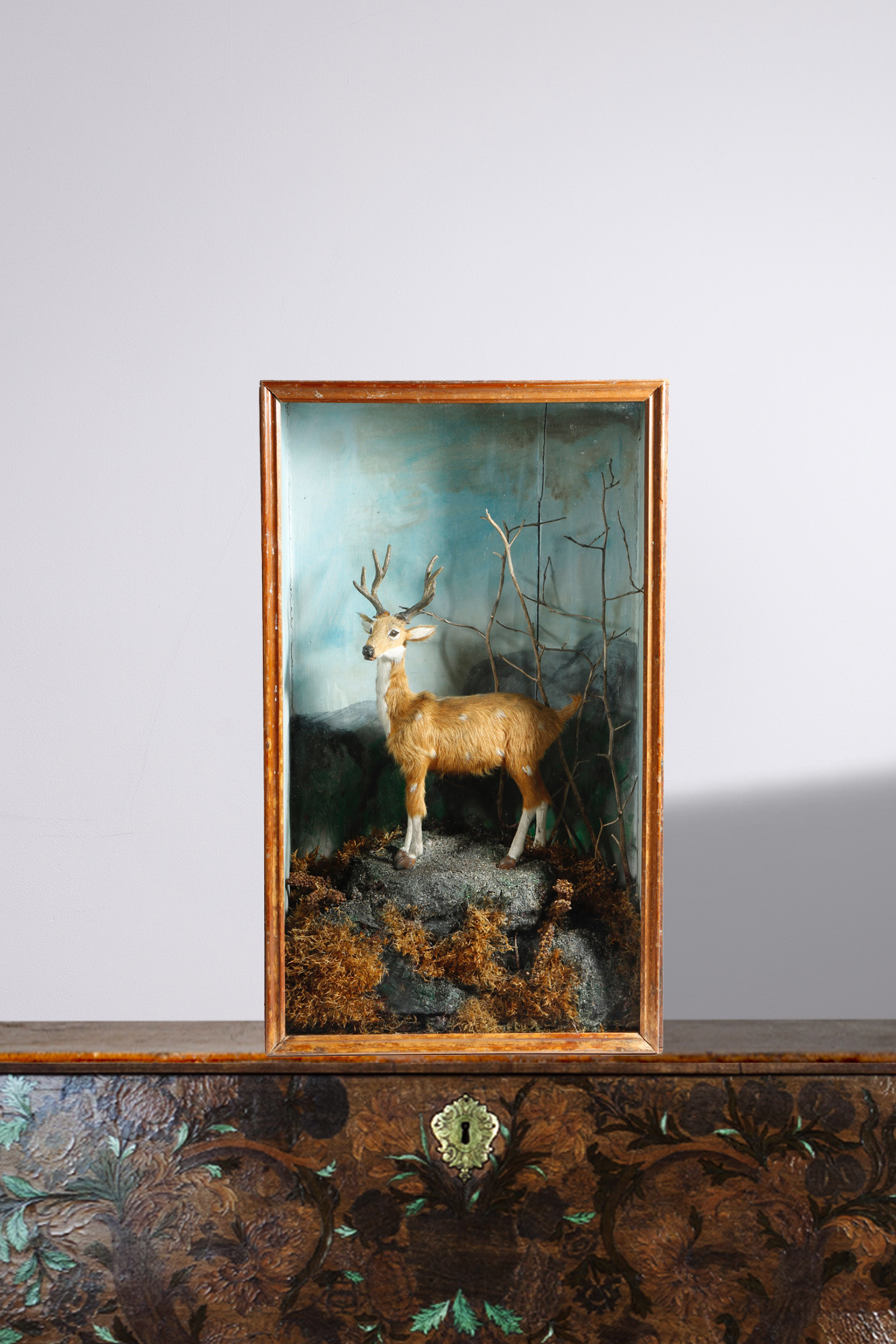 Taxidermy Victorian miniature model of a Stag