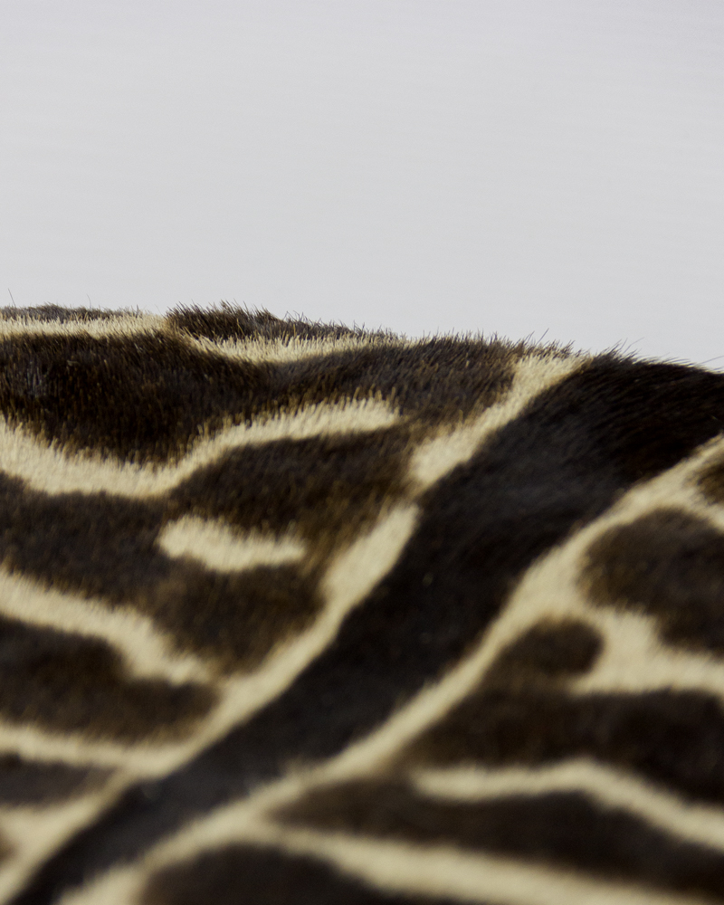 Burchell's Taxidermy Zebra Skin